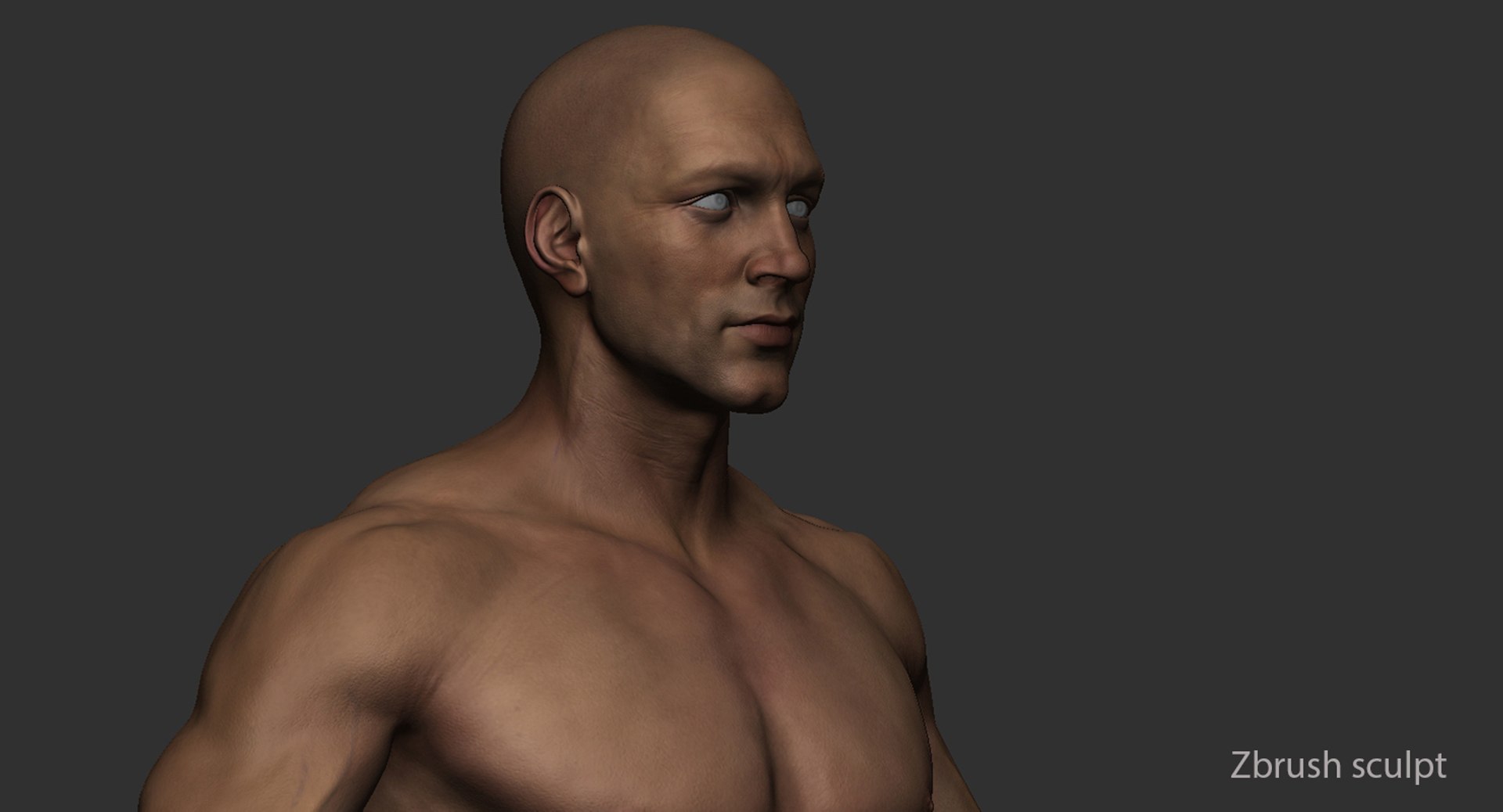 Male Body Rigging 3d Max