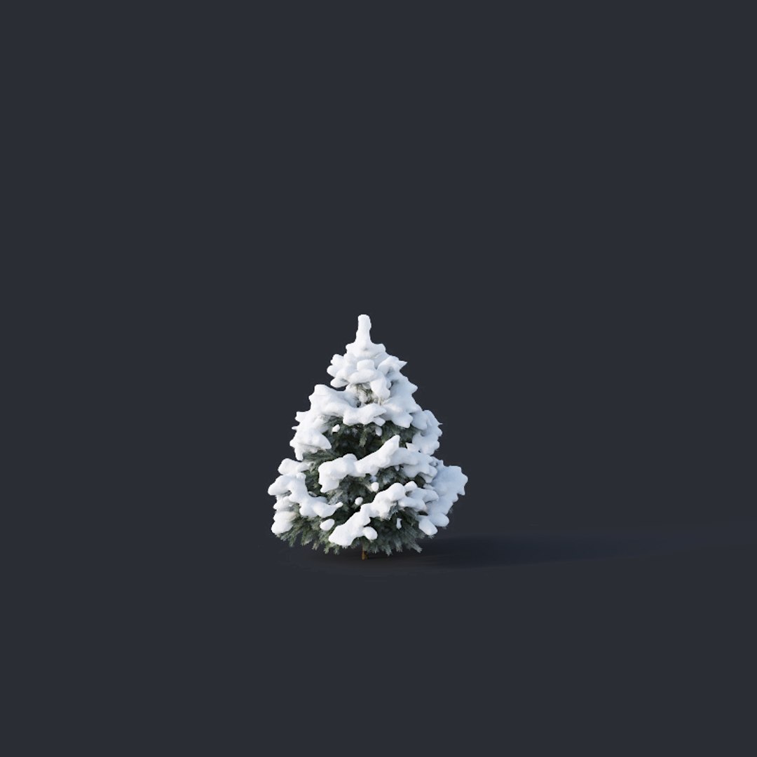 3D Fir Trees Model - TurboSquid 1376782