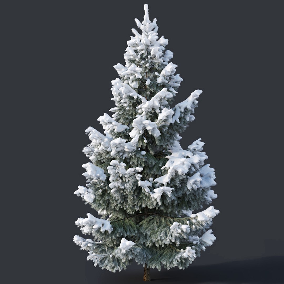 3D Fir Trees Model - TurboSquid 1376782
