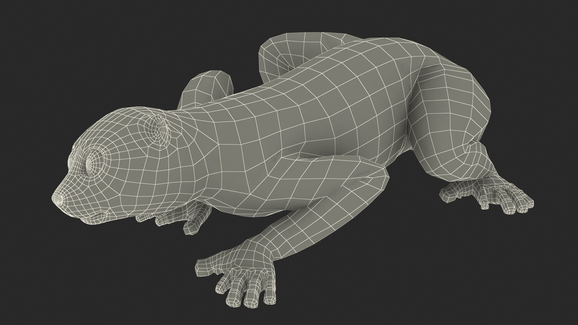 3D Sumatran Slow Loris Fur Model - TurboSquid 2140546