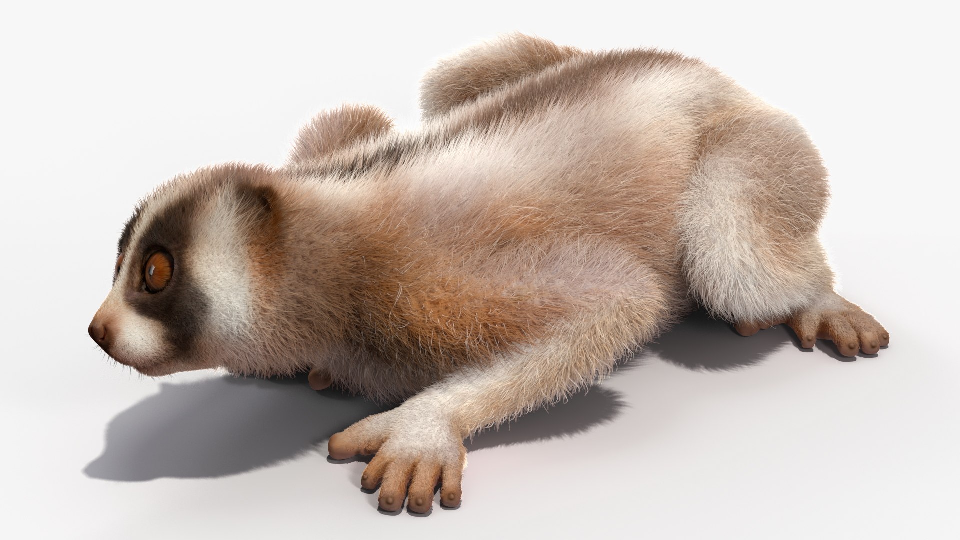 3D Sumatran Slow Loris Fur Model - TurboSquid 2140546