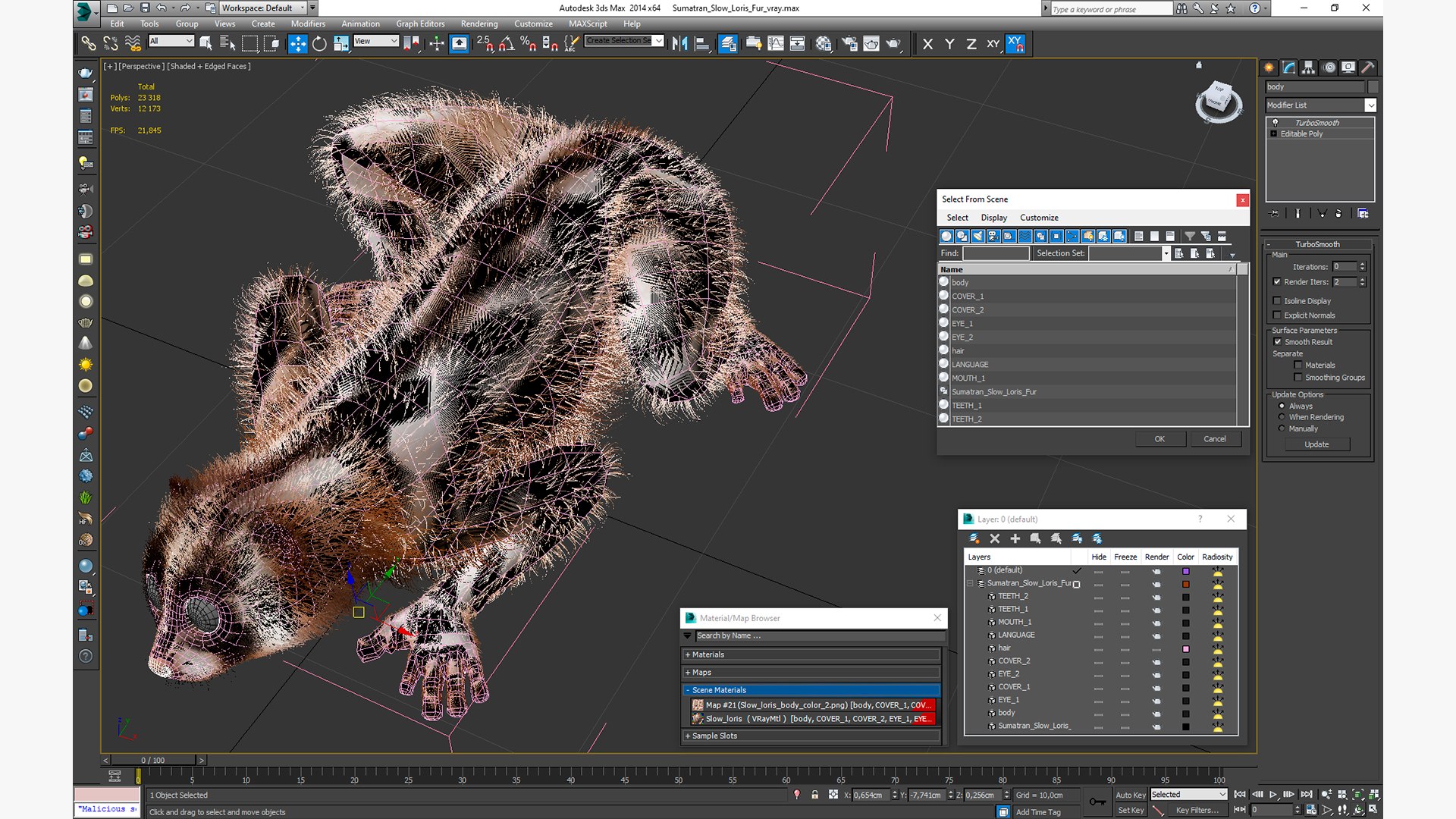 3D Sumatran Slow Loris Fur Model - TurboSquid 2140546