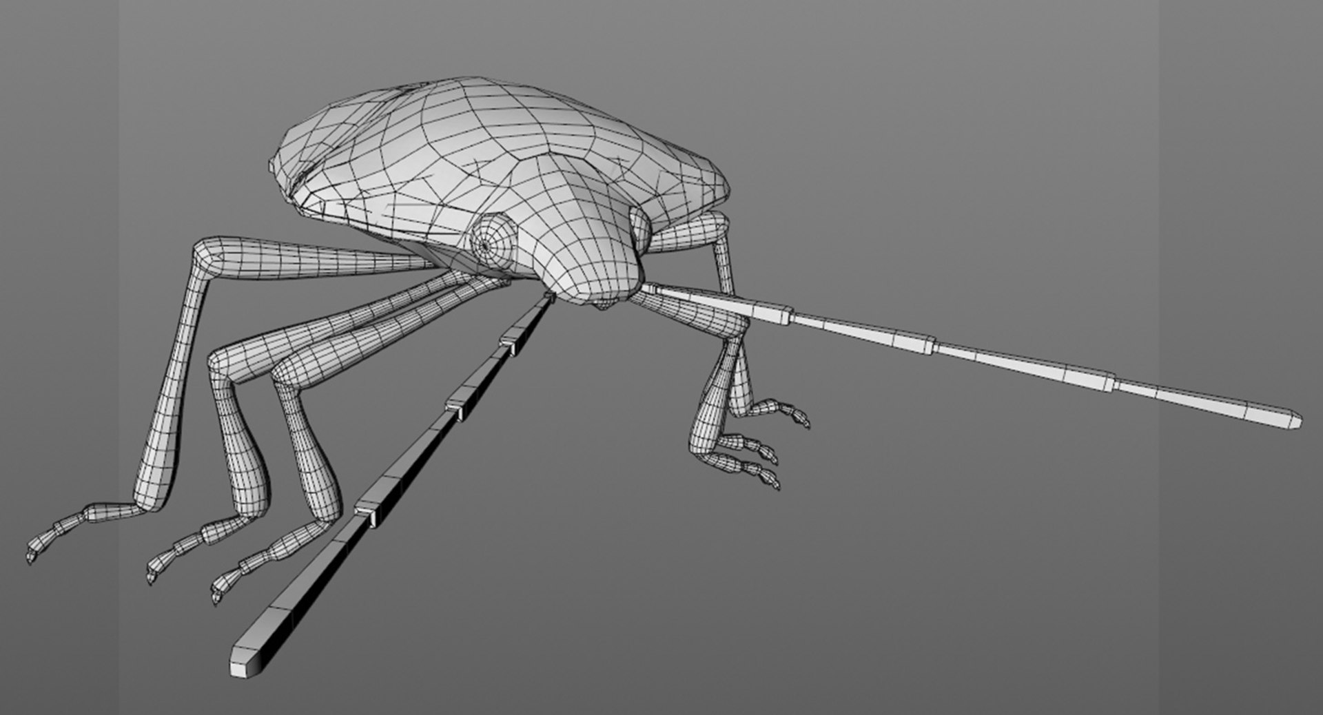 Stink Bug Model - TurboSquid 1203294