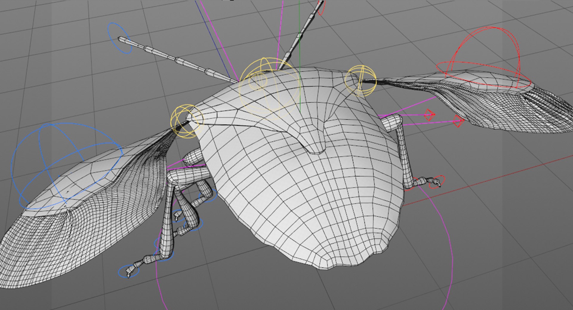 Stink Bug Model - TurboSquid 1203294