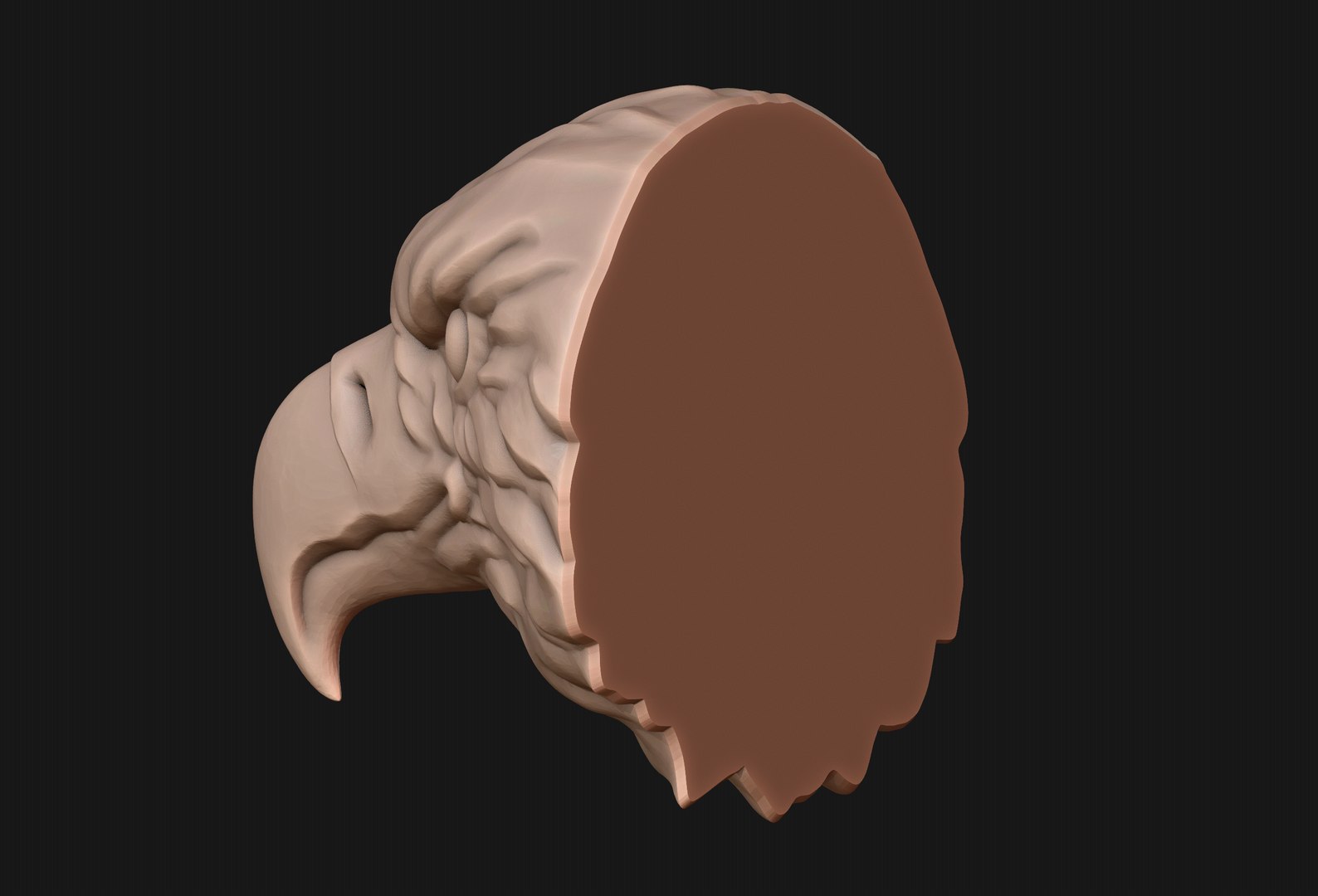 Eagle Head 3D Print Ready 3D Model - TurboSquid 1874029