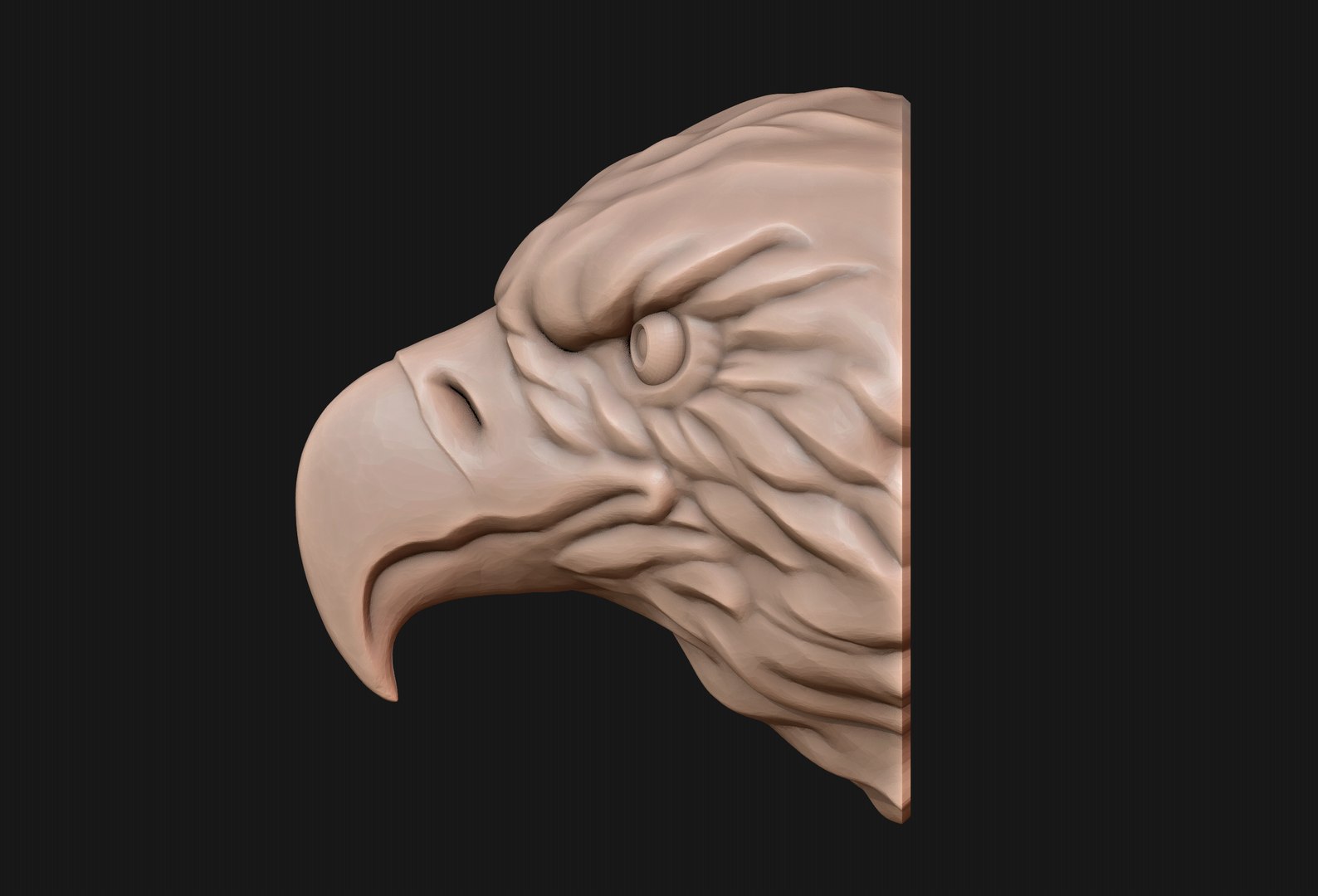 Eagle Head 3D Print Ready 3D Model - TurboSquid 1874029