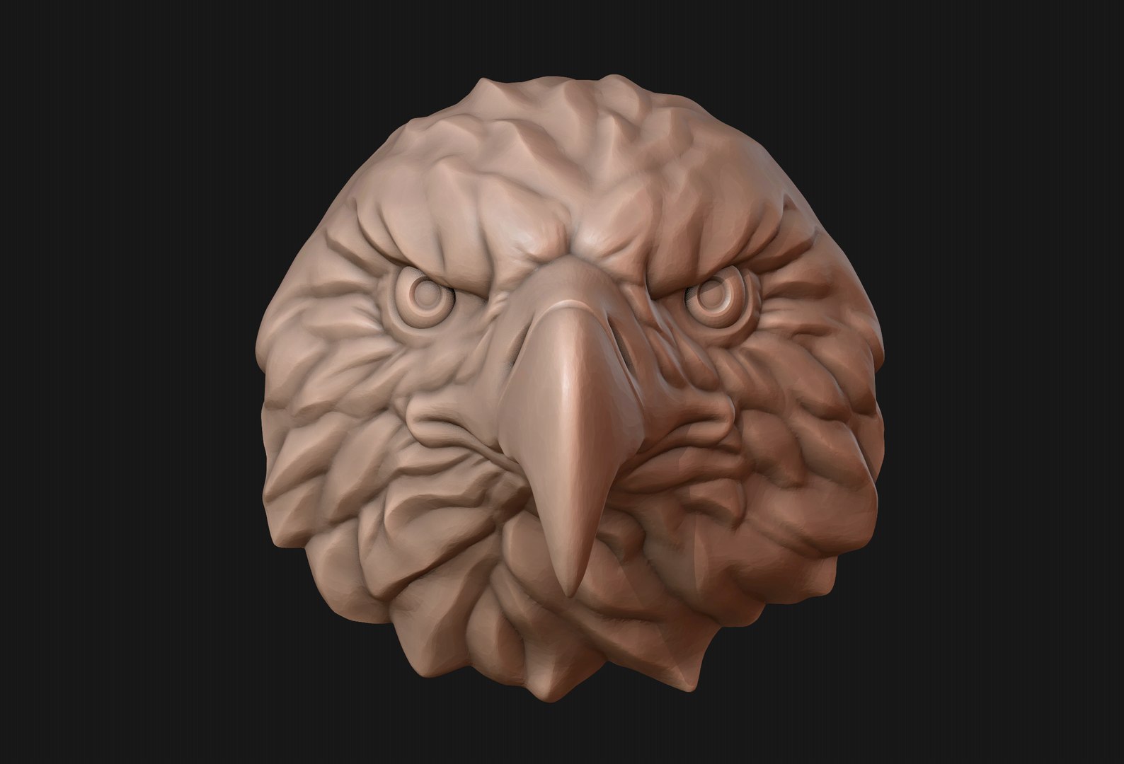 Eagle Head 3D Print Ready 3D Model - TurboSquid 1874029