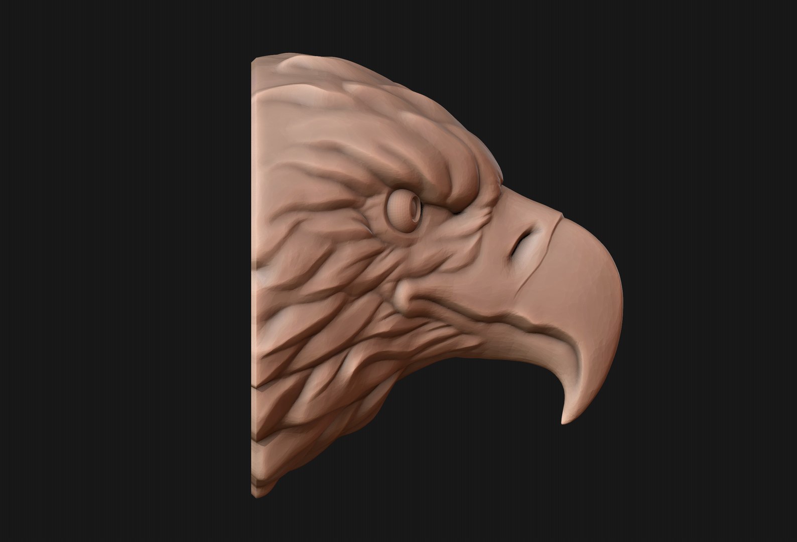 Eagle Head 3D Print Ready 3D Model - TurboSquid 1874029