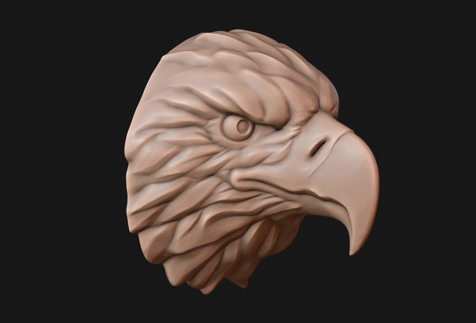 Eagle head 3D print ready 3D model - TurboSquid 1874029