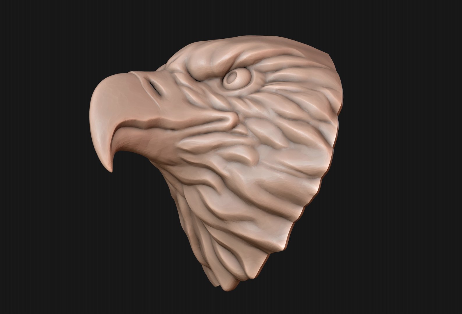 Eagle Head 3D Print Ready 3D Model - TurboSquid 1874029