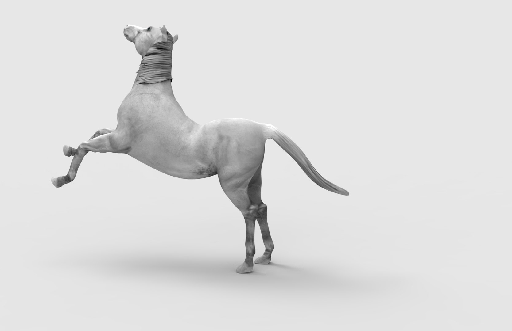 3D Horse Animation - TurboSquid 1221896