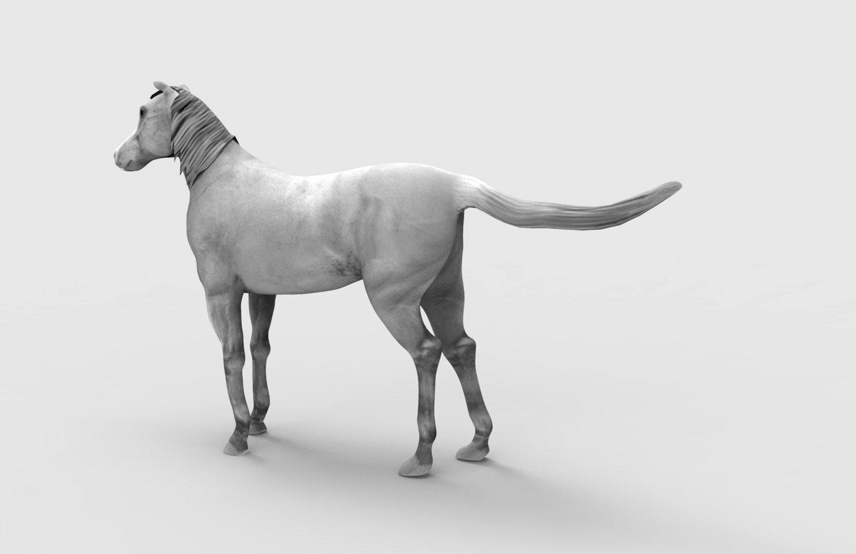 3D Horse Animation - TurboSquid 1221896