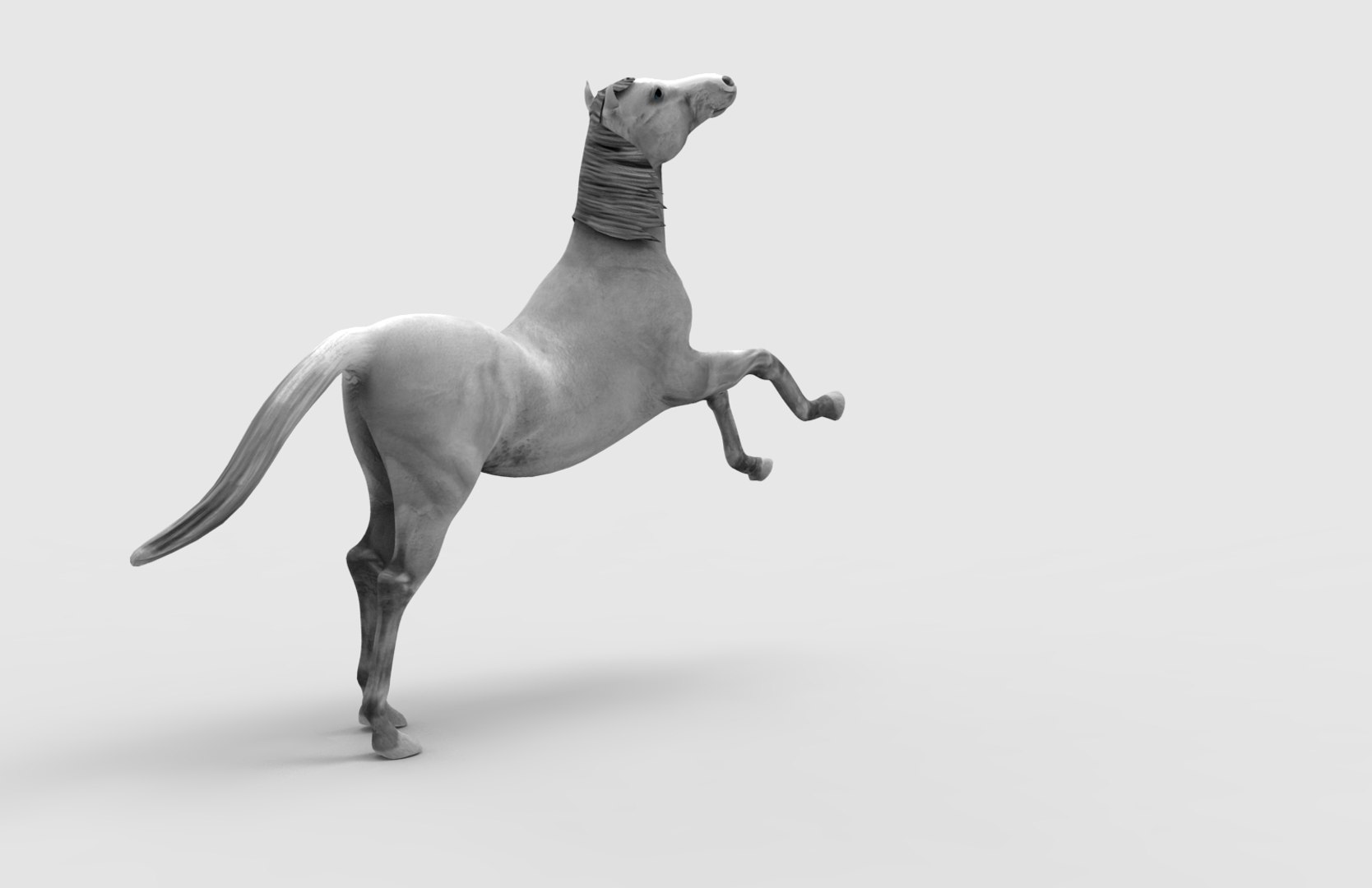 3D Horse Animation - TurboSquid 1221896