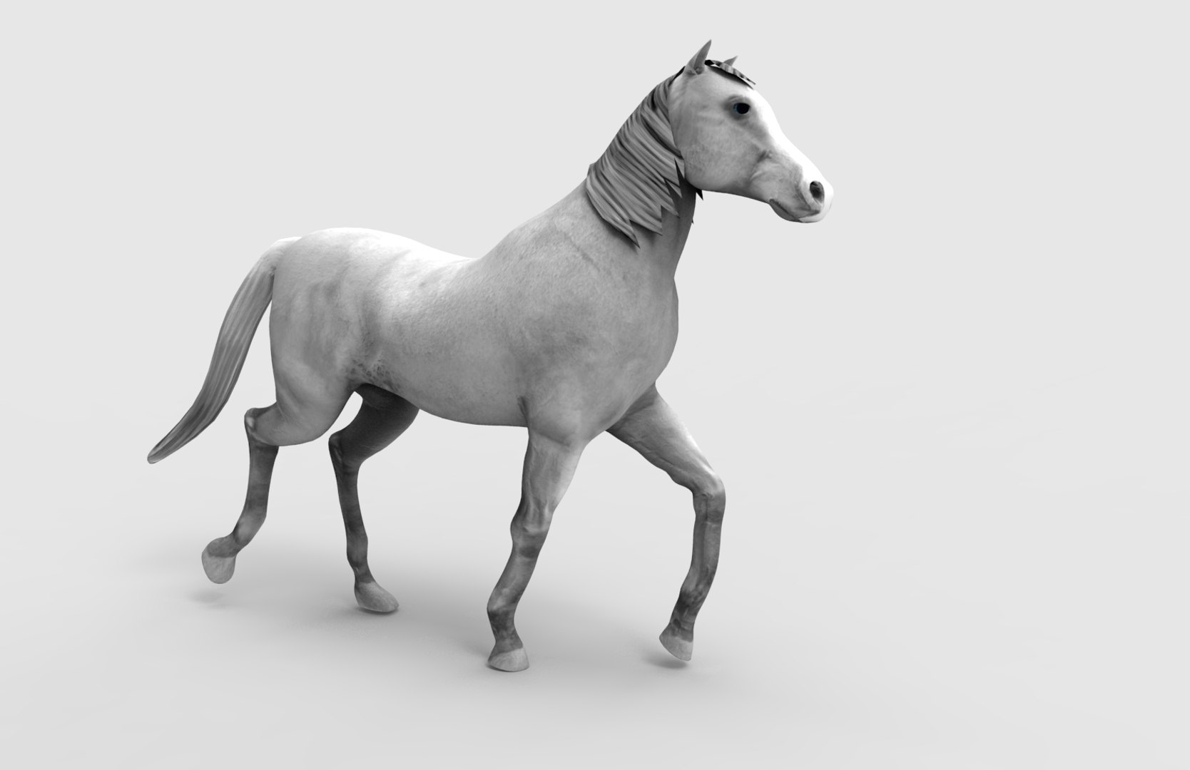 3D Horse Animation - TurboSquid 1221896