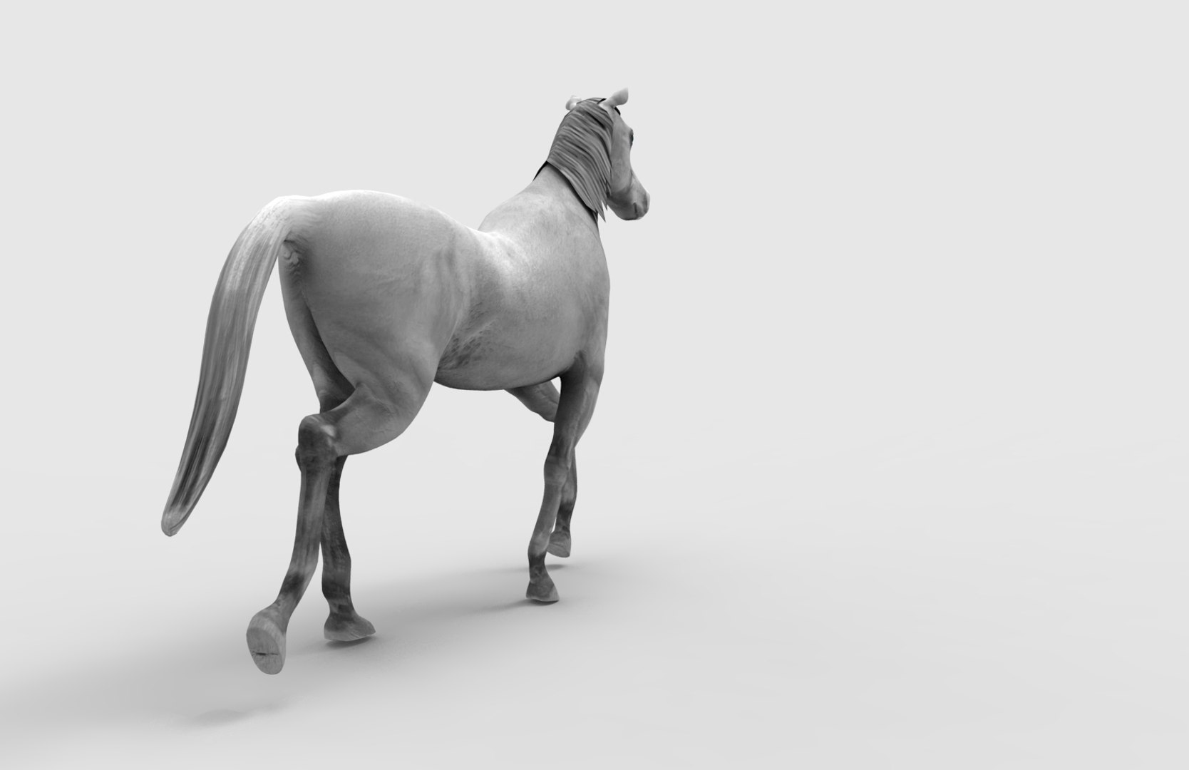 3D Horse Animation - TurboSquid 1221896