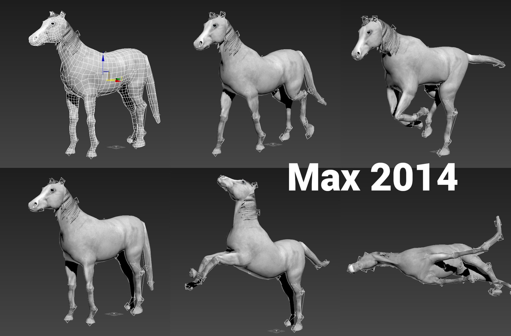 3D Horse Animation - TurboSquid 1221896