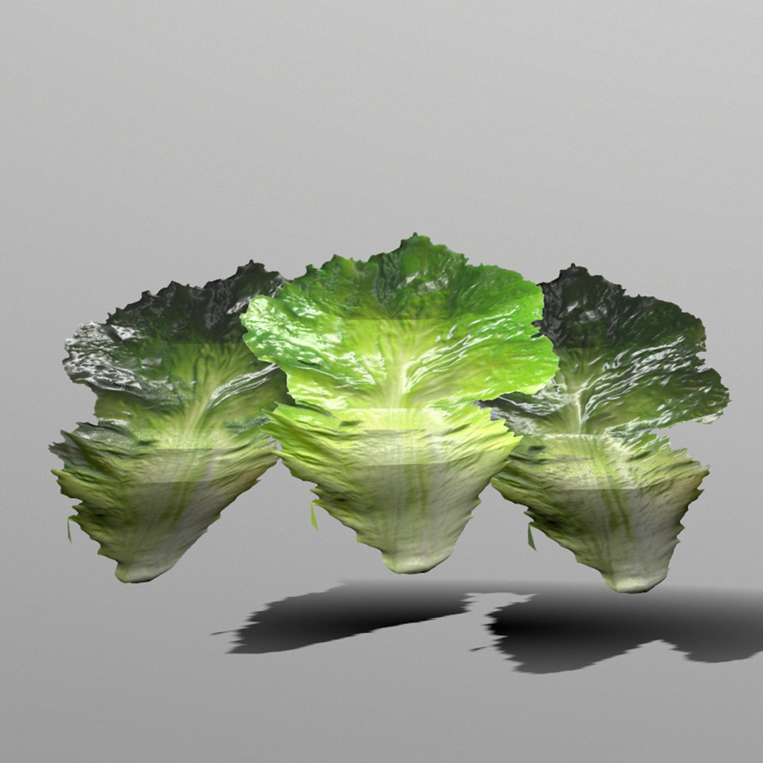 Lettuce Ready Games Model - TurboSquid 1289444