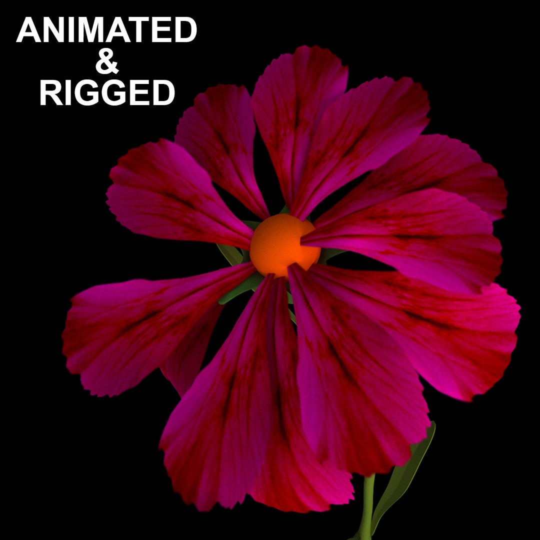 3D model flowers open animation - TurboSquid 1588696