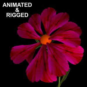 8 Flowers Animation 3D - TurboSquid 1603296