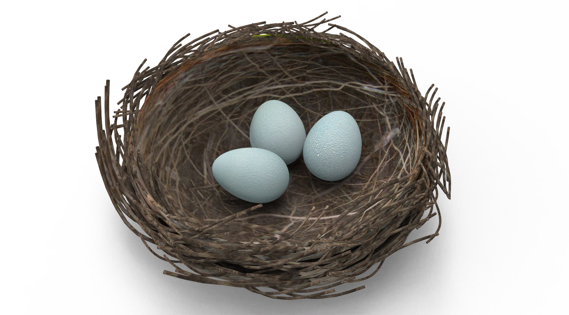 3D Bird Nest 3D PBR - TurboSquid 1852247