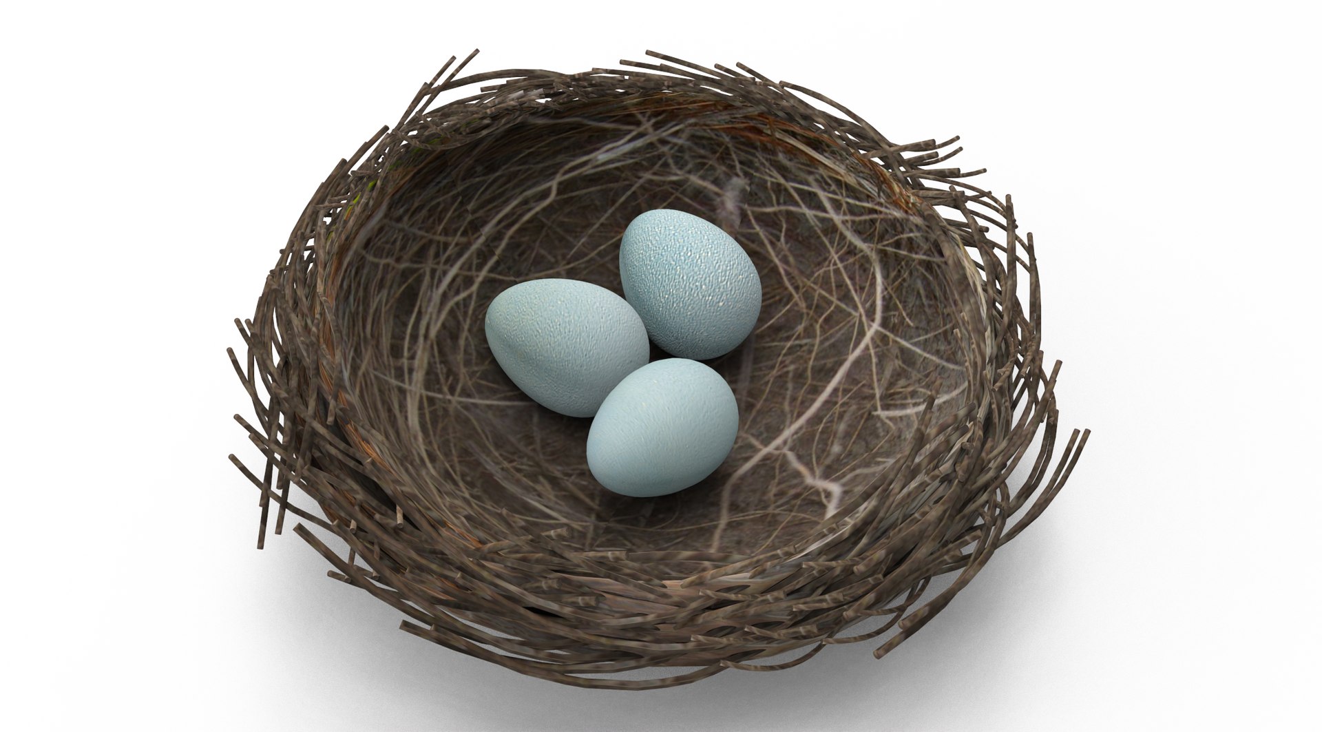 3D Bird Nest 3D PBR - TurboSquid 1852247