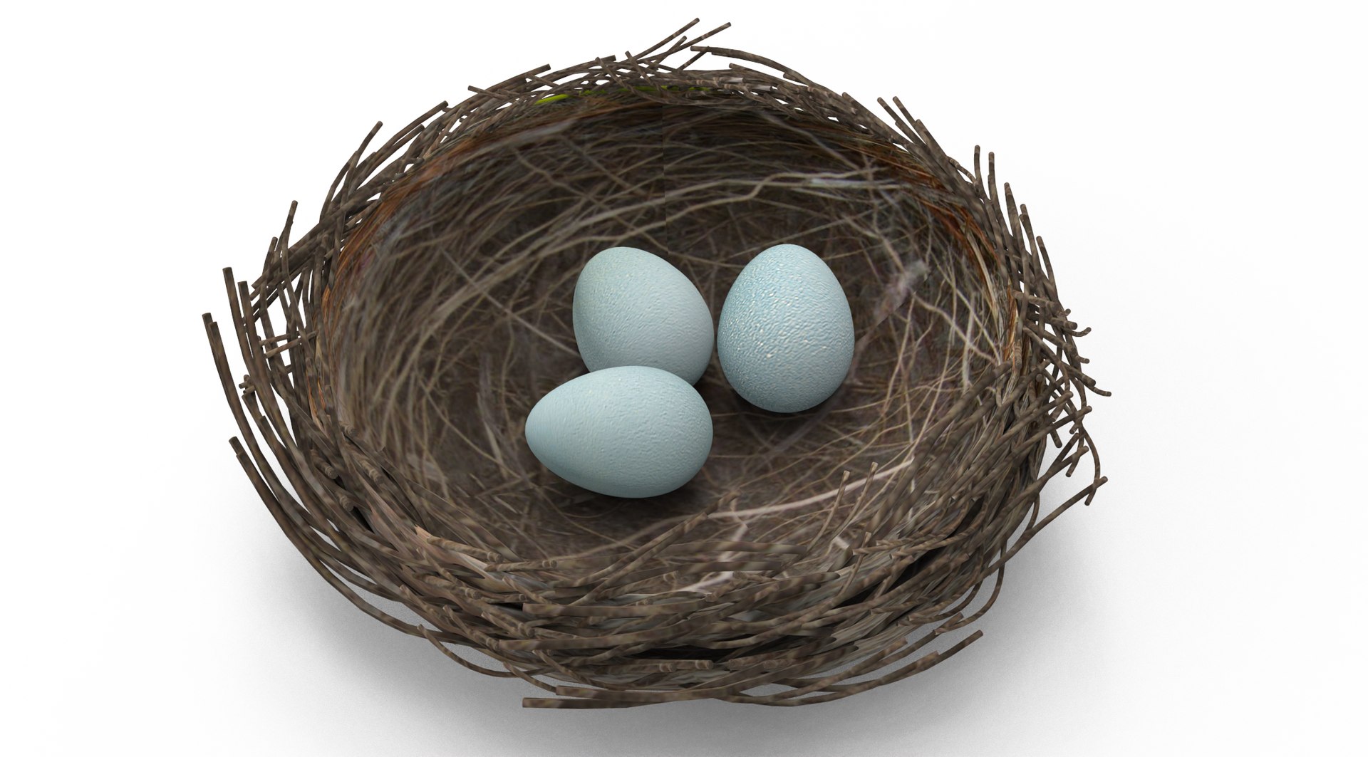 3D Bird Nest 3D PBR - TurboSquid 1852247