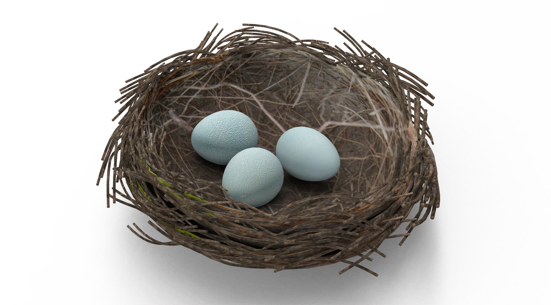 3D Bird Nest 3D PBR - TurboSquid 1852247
