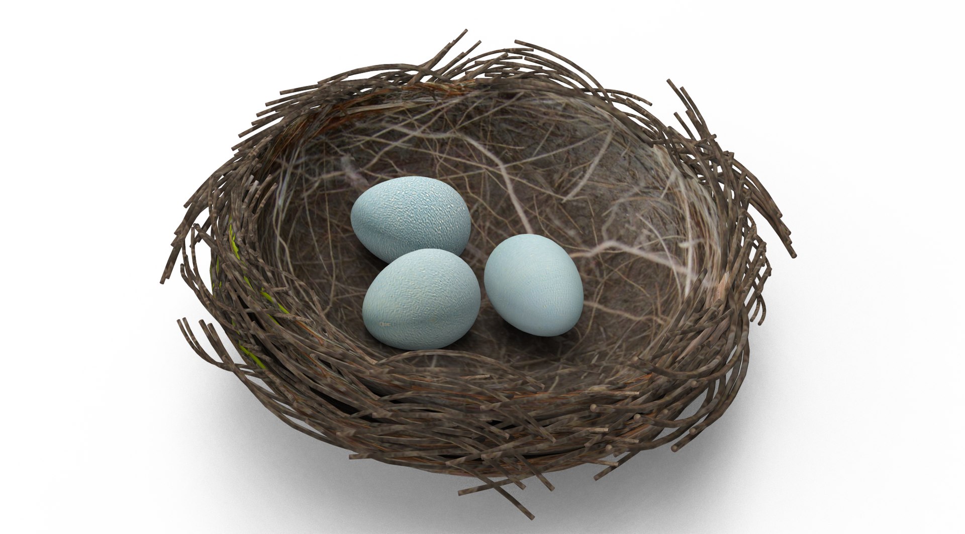3D Bird Nest 3D PBR - TurboSquid 1852247