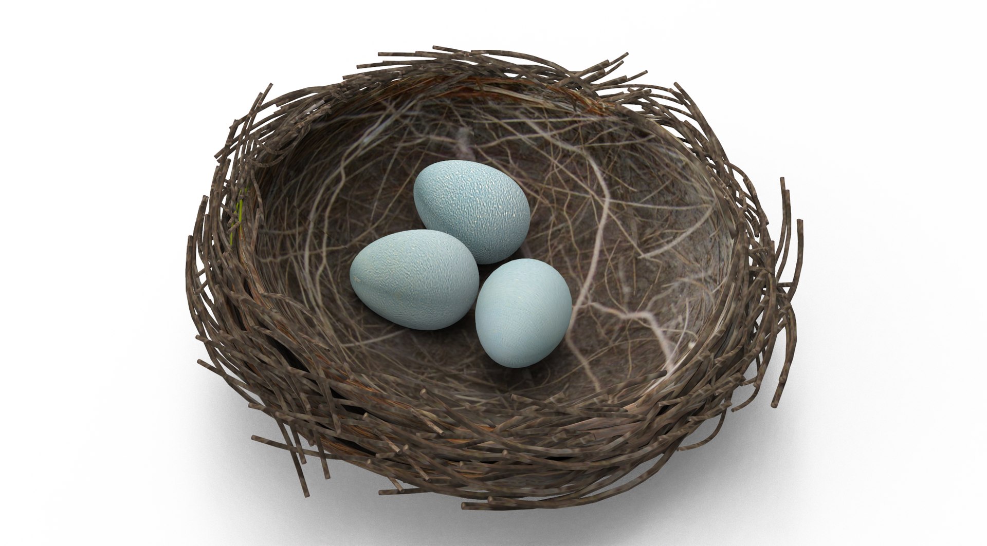 3D Bird Nest 3D PBR - TurboSquid 1852247