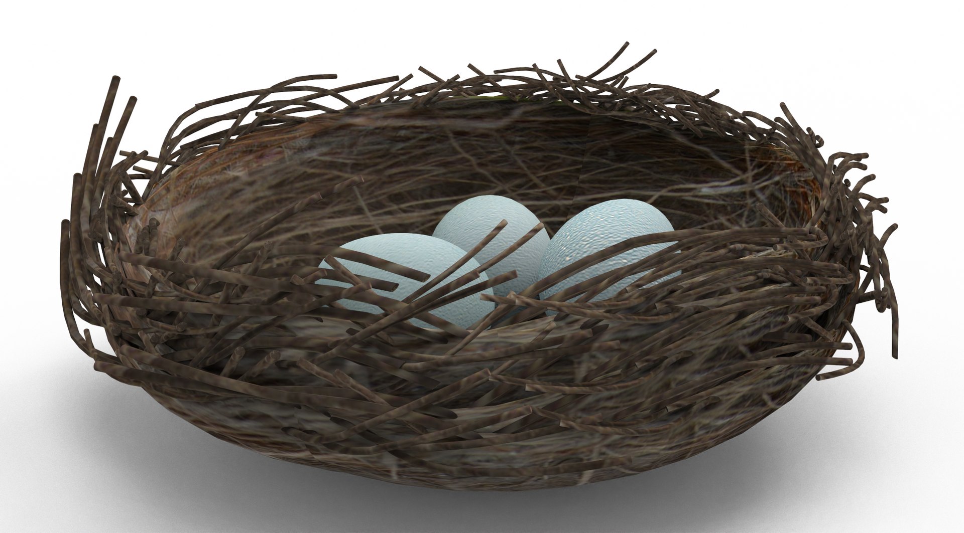 3D Bird Nest 3D PBR - TurboSquid 1852247