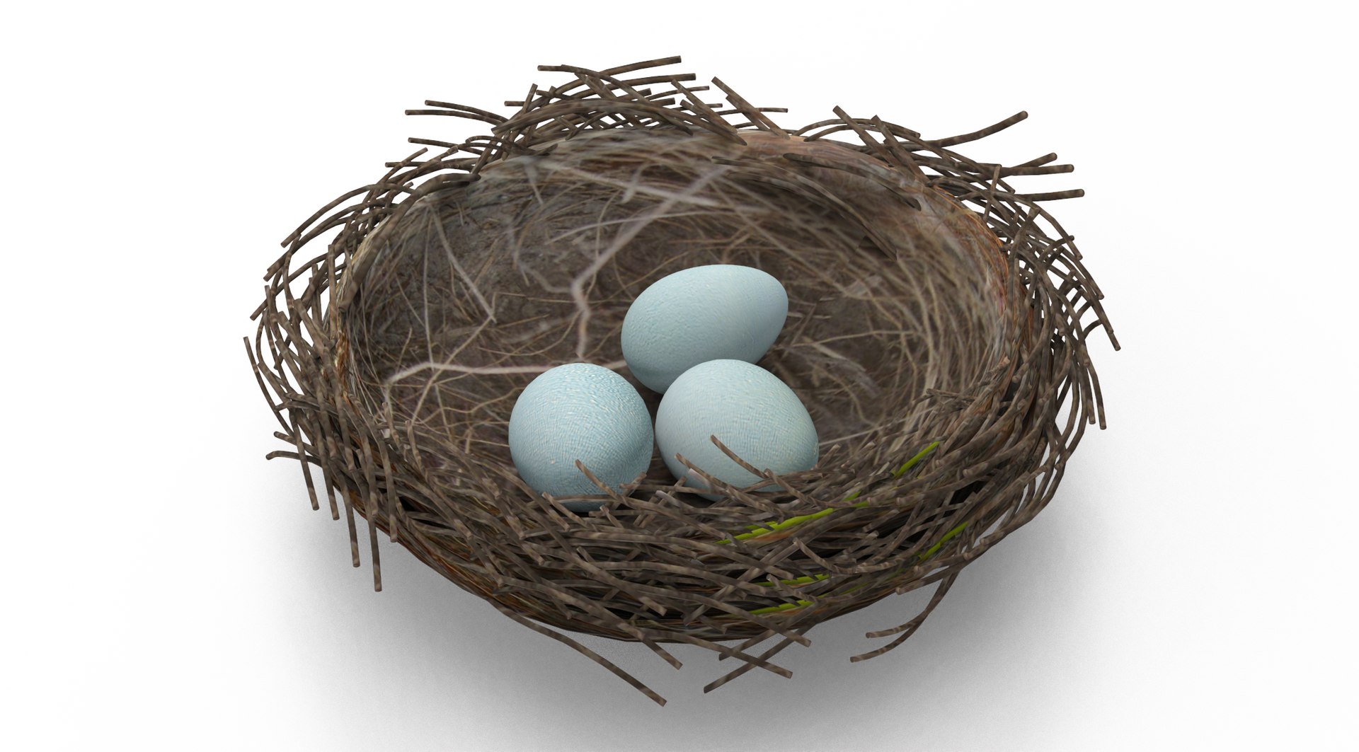 3D Bird Nest 3D PBR - TurboSquid 1852247