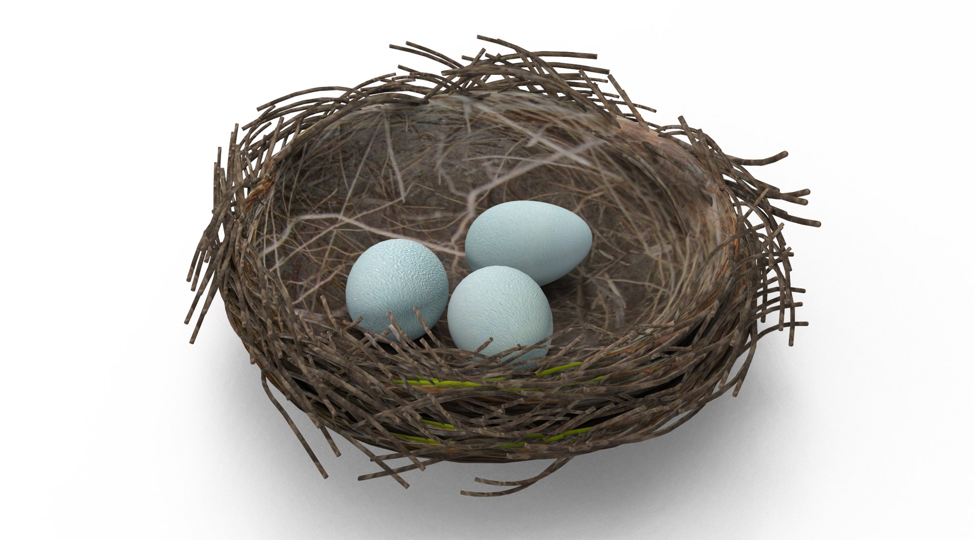 3D Bird Nest 3D PBR - TurboSquid 1852247