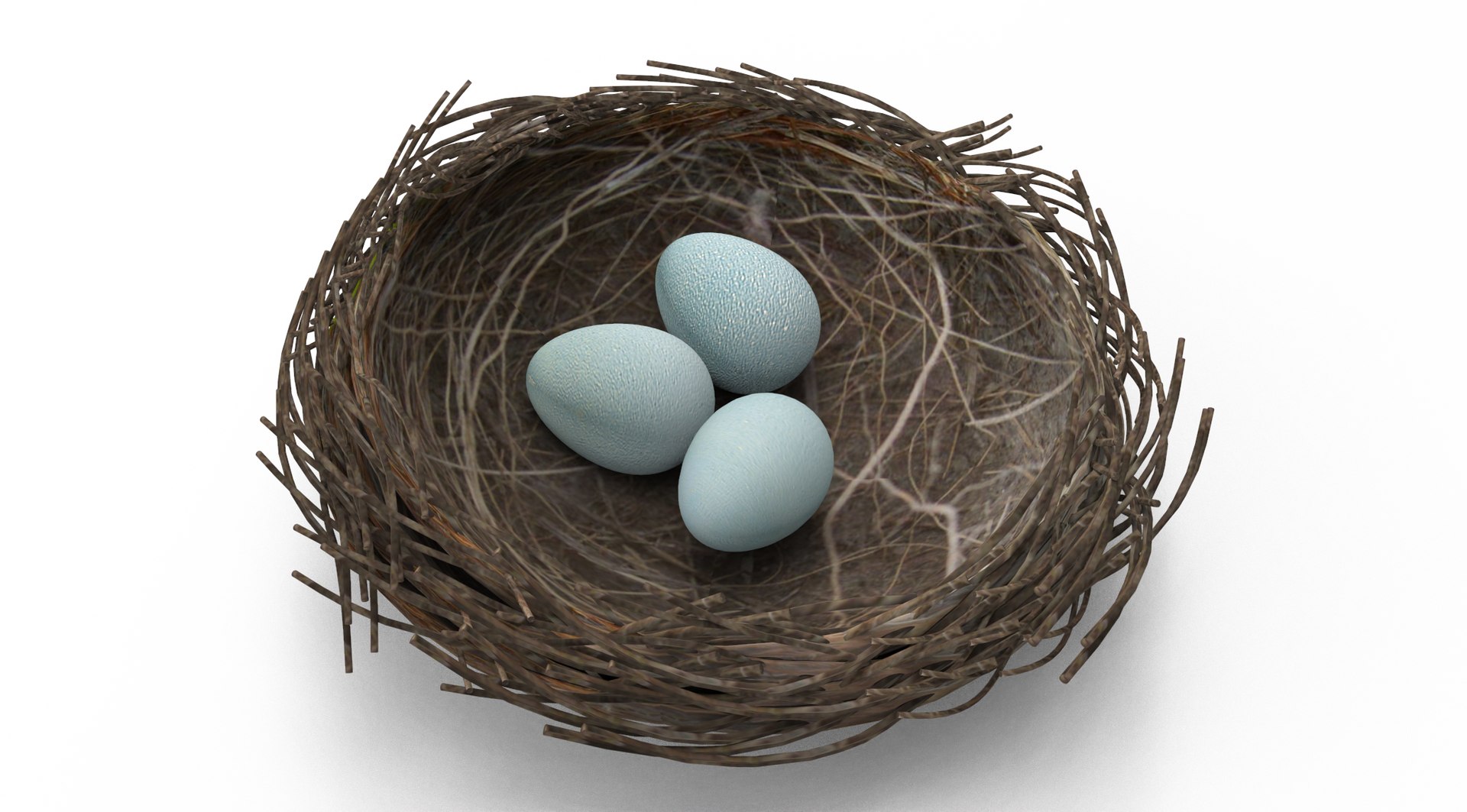 3D Bird Nest 3D PBR - TurboSquid 1852247