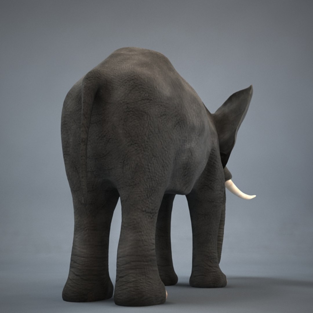 max elephant