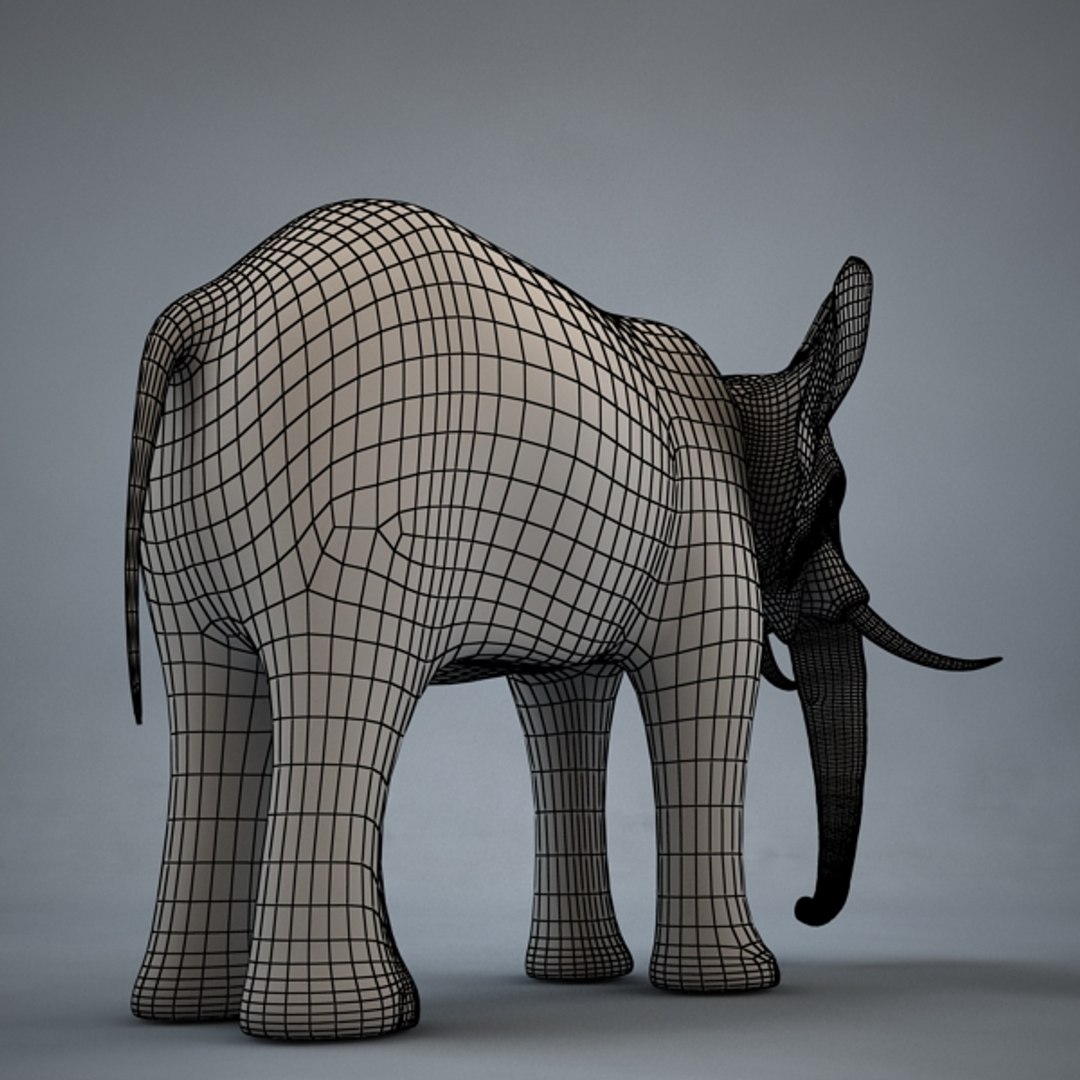 max elephant