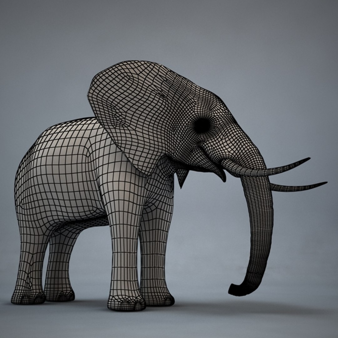 max elephant