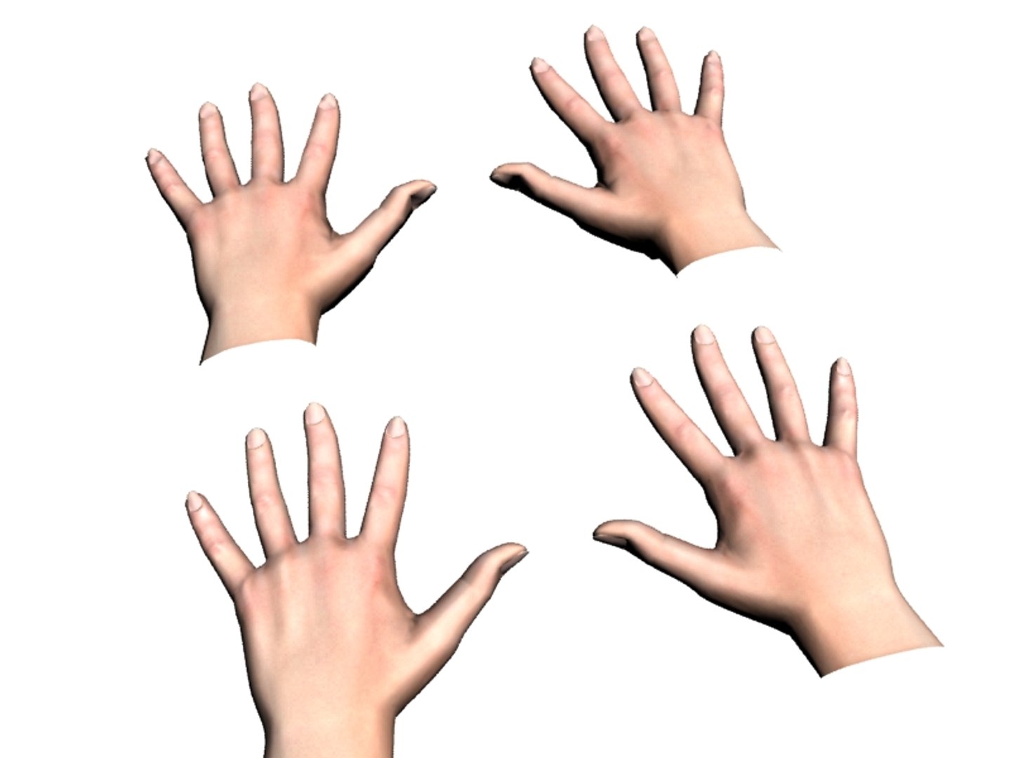 Human Hand Max