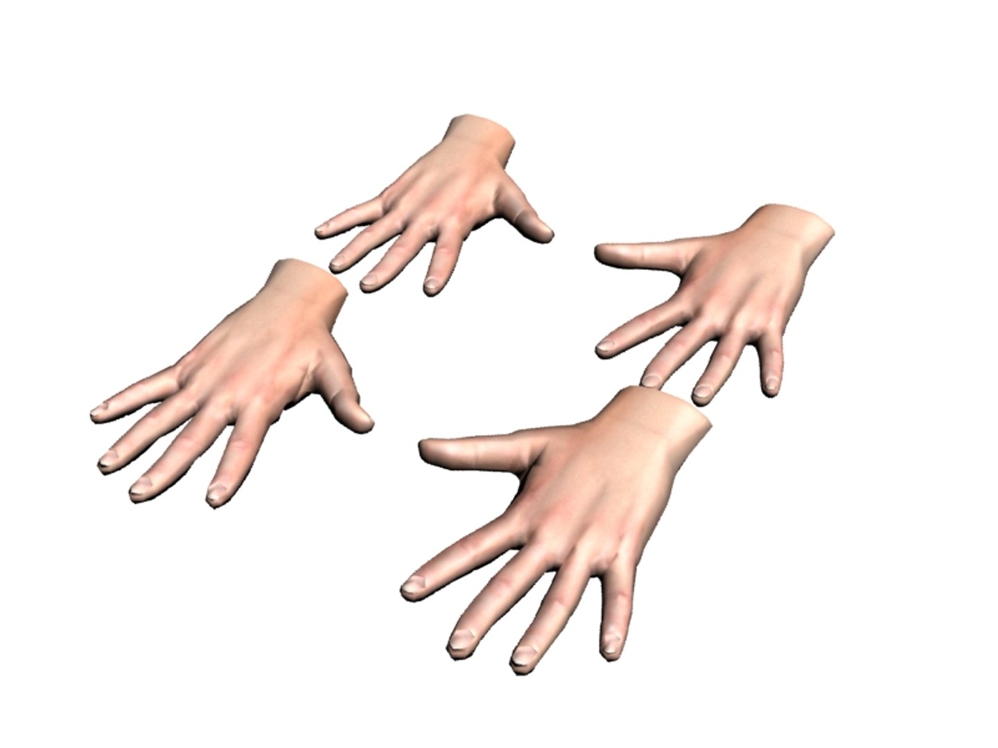 Human Hand Max