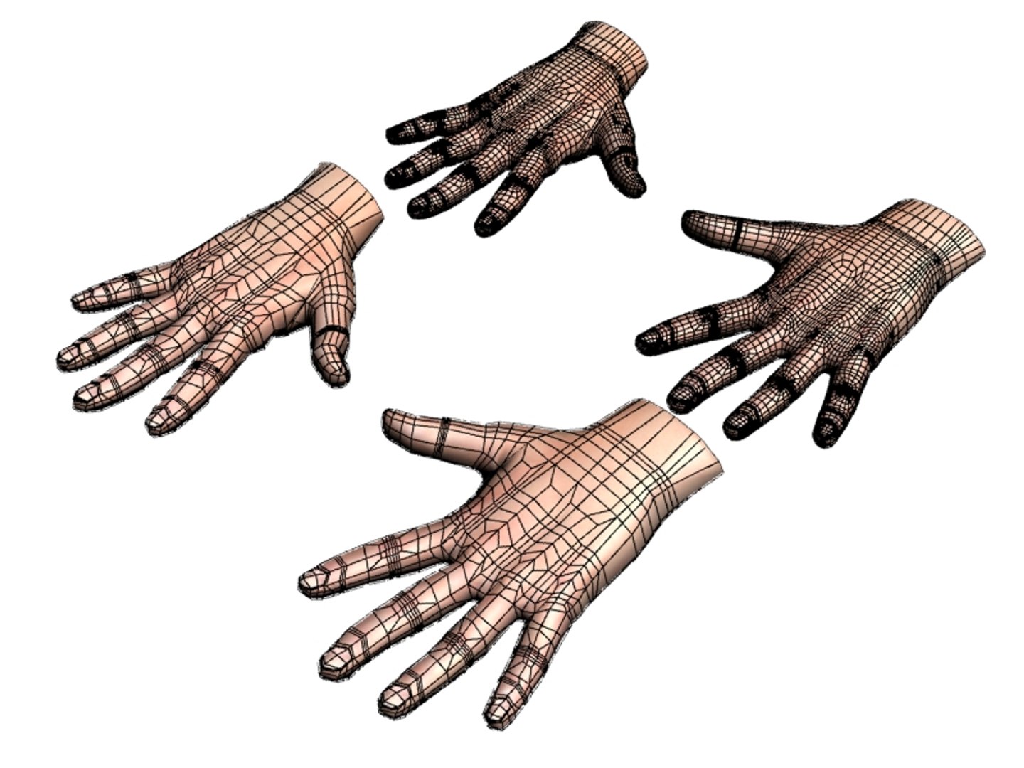 Human Hand Max