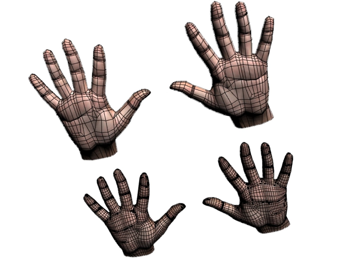 Human Hand Max