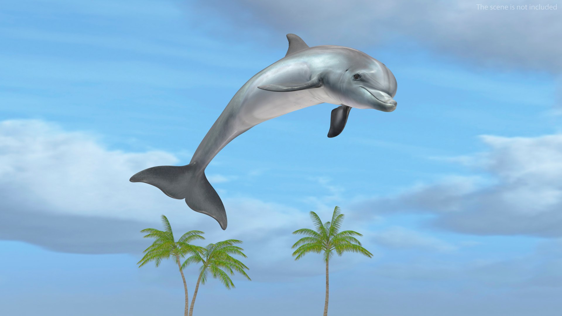 Dolphin Jumping Out Of Water Animated For Maya Model - TurboSquid 2134140
