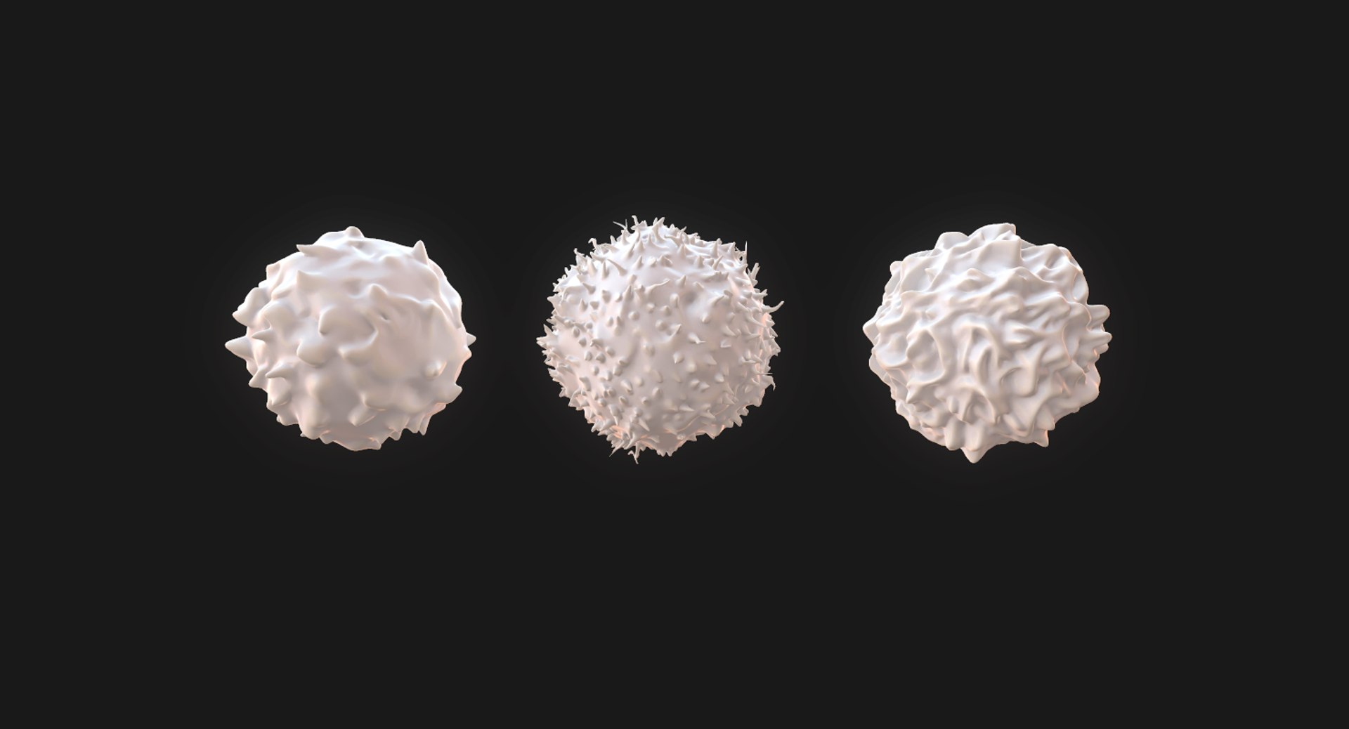 3D Lymphocytes Model - TurboSquid 1423557