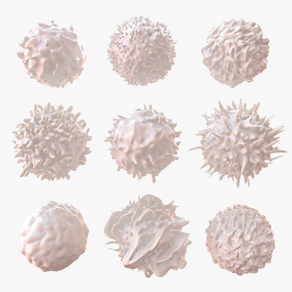 lymphocyte 3d model