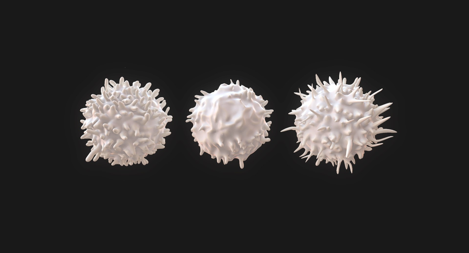 3D Lymphocytes Model - TurboSquid 1423557