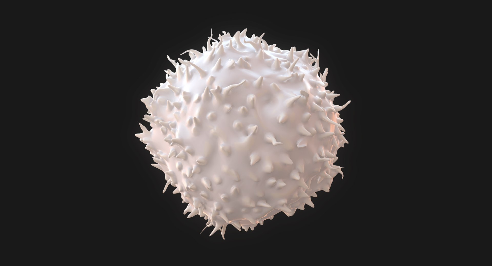 3D Lymphocytes Model - TurboSquid 1423557