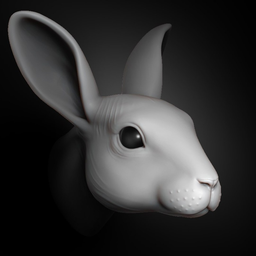 3D rabbit head 2019 - TurboSquid 1428119
