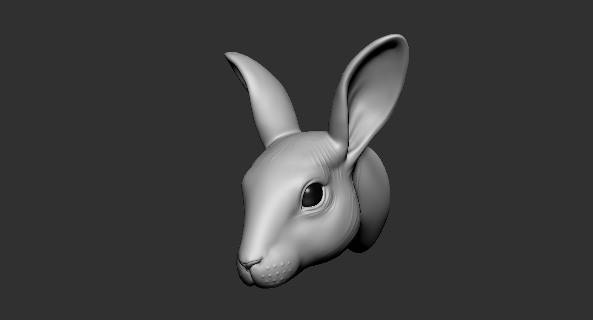 3D Rabbit Head 2019 - TurboSquid 1428119