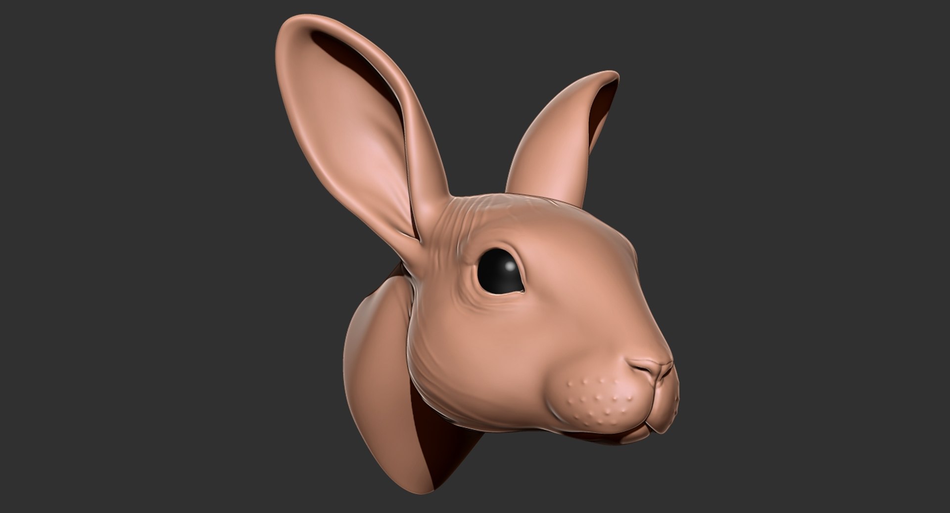 3D Rabbit Head 2019 - TurboSquid 1428119