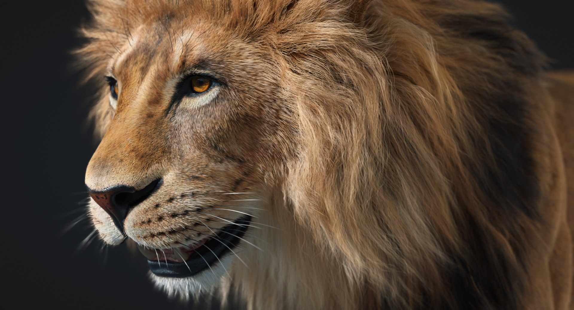 3D fur lion - TurboSquid 1277466