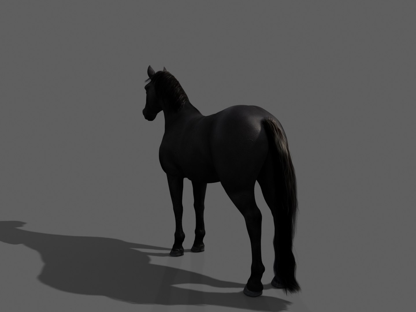 Horse Mane Animation 3d Model